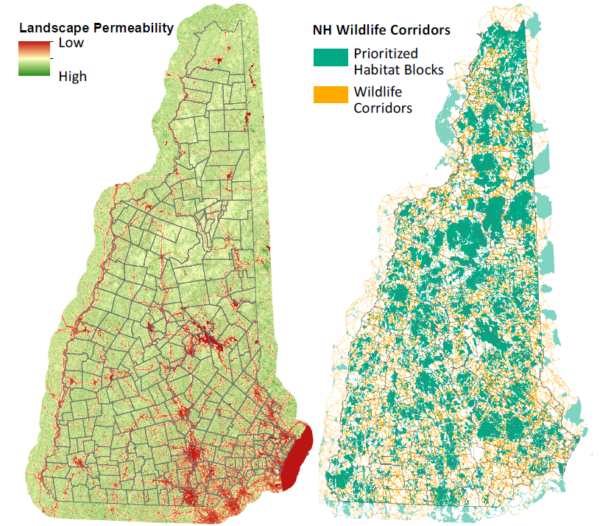 Wildlife Corridors Workshop - Green Mountain Conservation Group